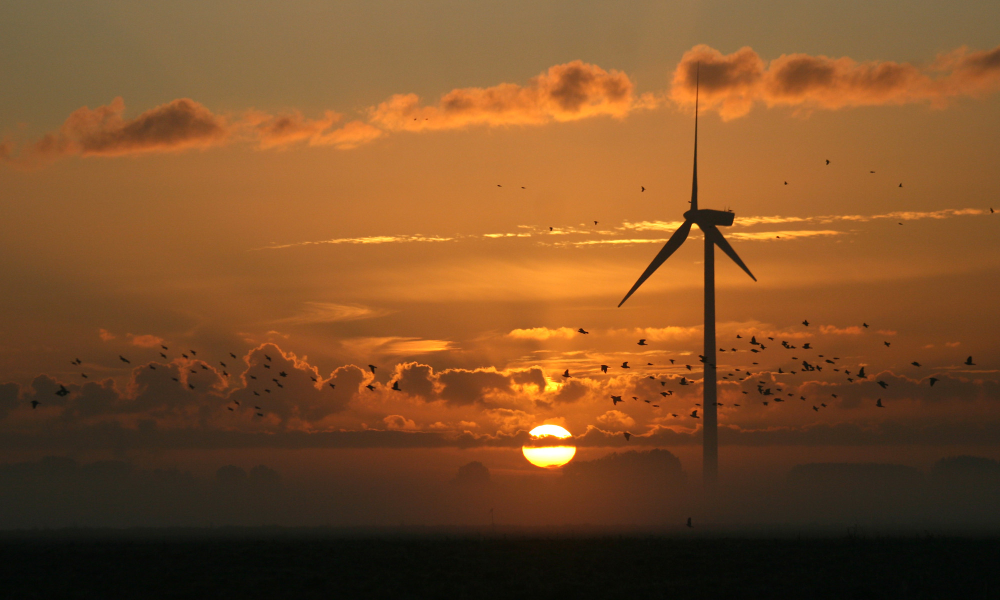 Windmolens aan de zuidkant van de Hoeksche Waard onaanvaardbaar ... Windmolens aan de zuidkant van de Hoeksche Waard onaanvaardbaar ...